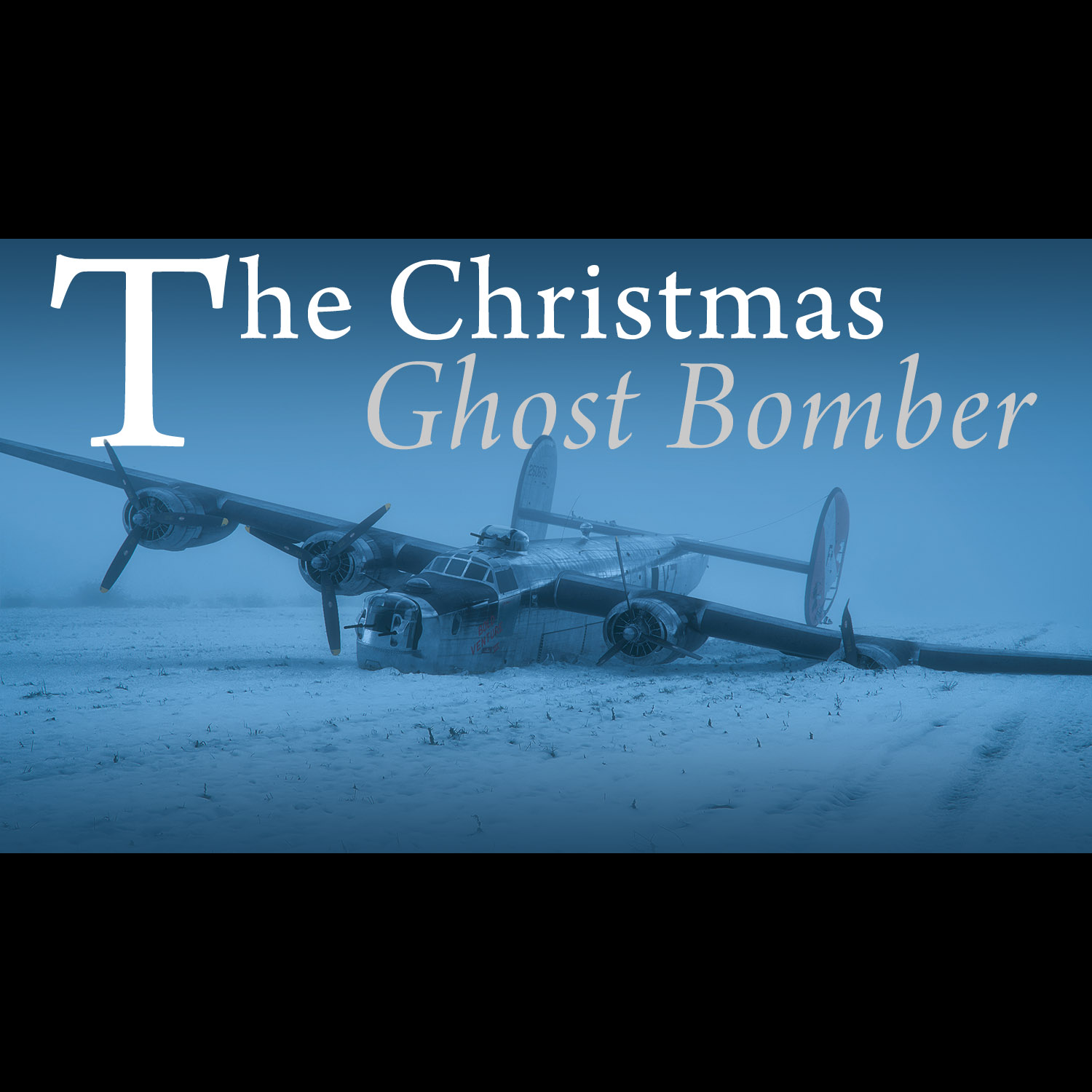 The Christmas Ghost bomber - Wingleader