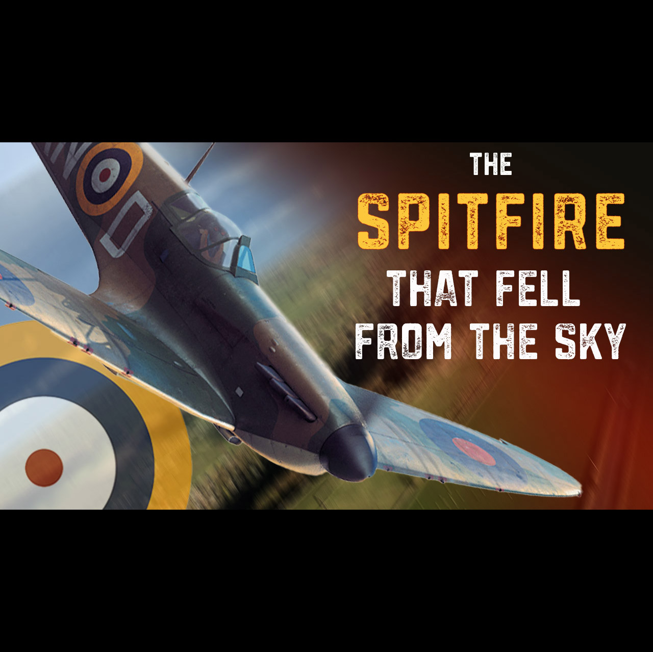 The Spitfire that fell from the sky - Wingleader