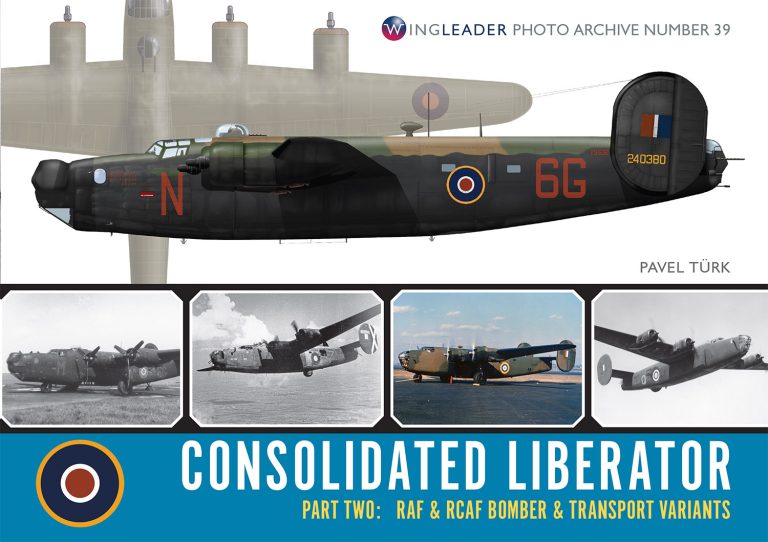 RAF Liberators Part 2 (WPA39)
